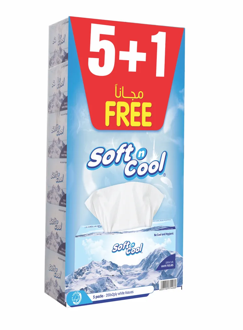 Soft N Cool Tissue 2 Ply 200 Pulls Offer Pack 30 + 6 Box Extra ...